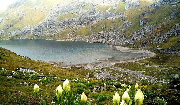 Vasuki Tal trek: Trekking to High Altitude Bliss - Himalayan Ambition